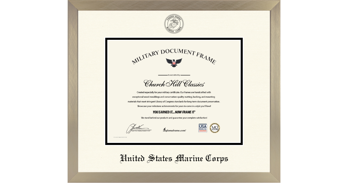 Icon Diploma Frame in Light Champagne - Item #P89966 from United States ...