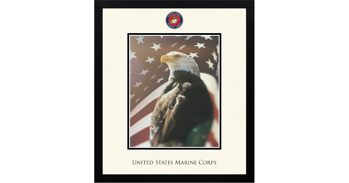 U.S. Marine Corps Icon 8 x 10 Photo Frame - Gotham Moulding